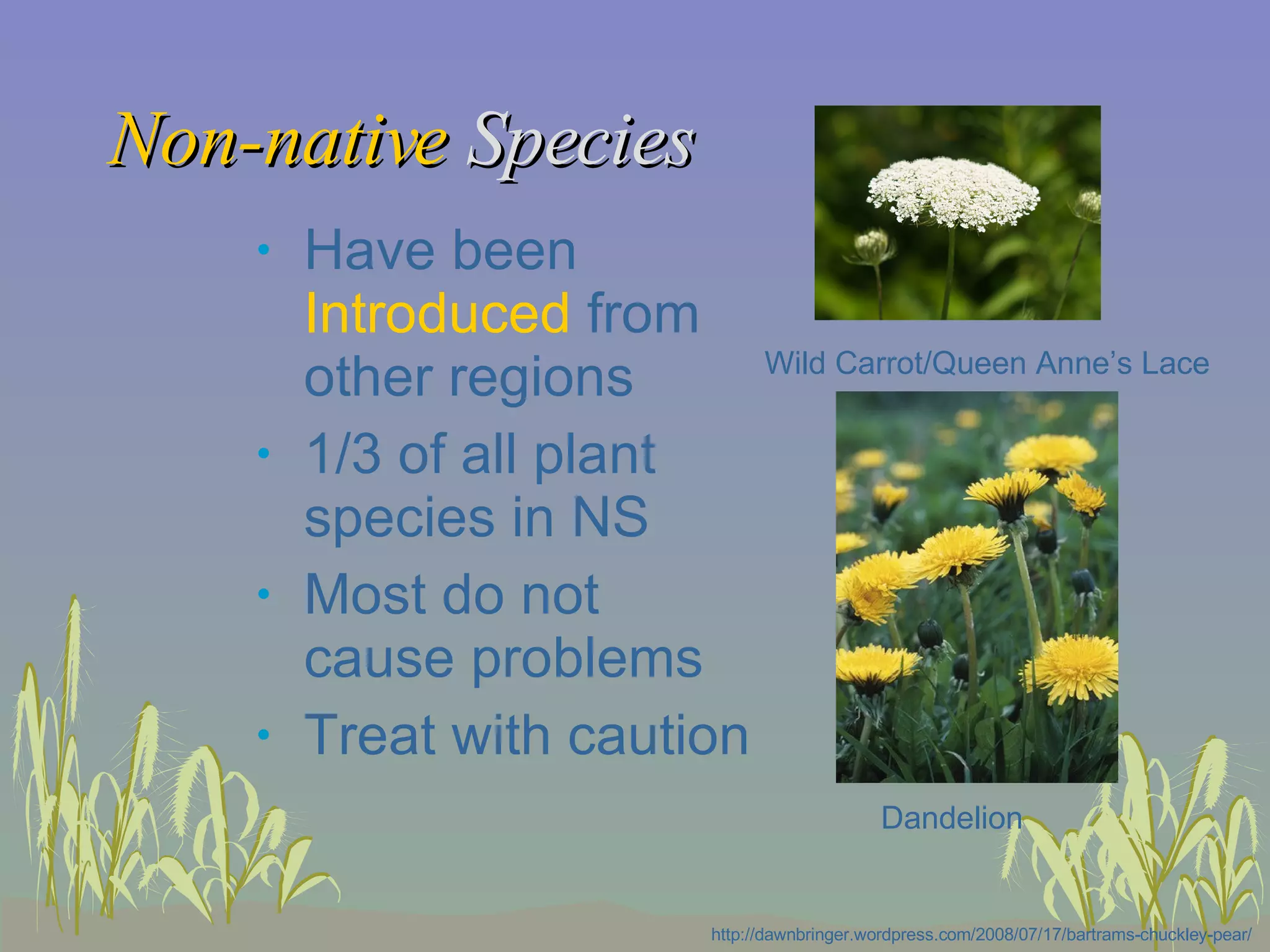 Aquatic Invasive Species Workshop | PPT