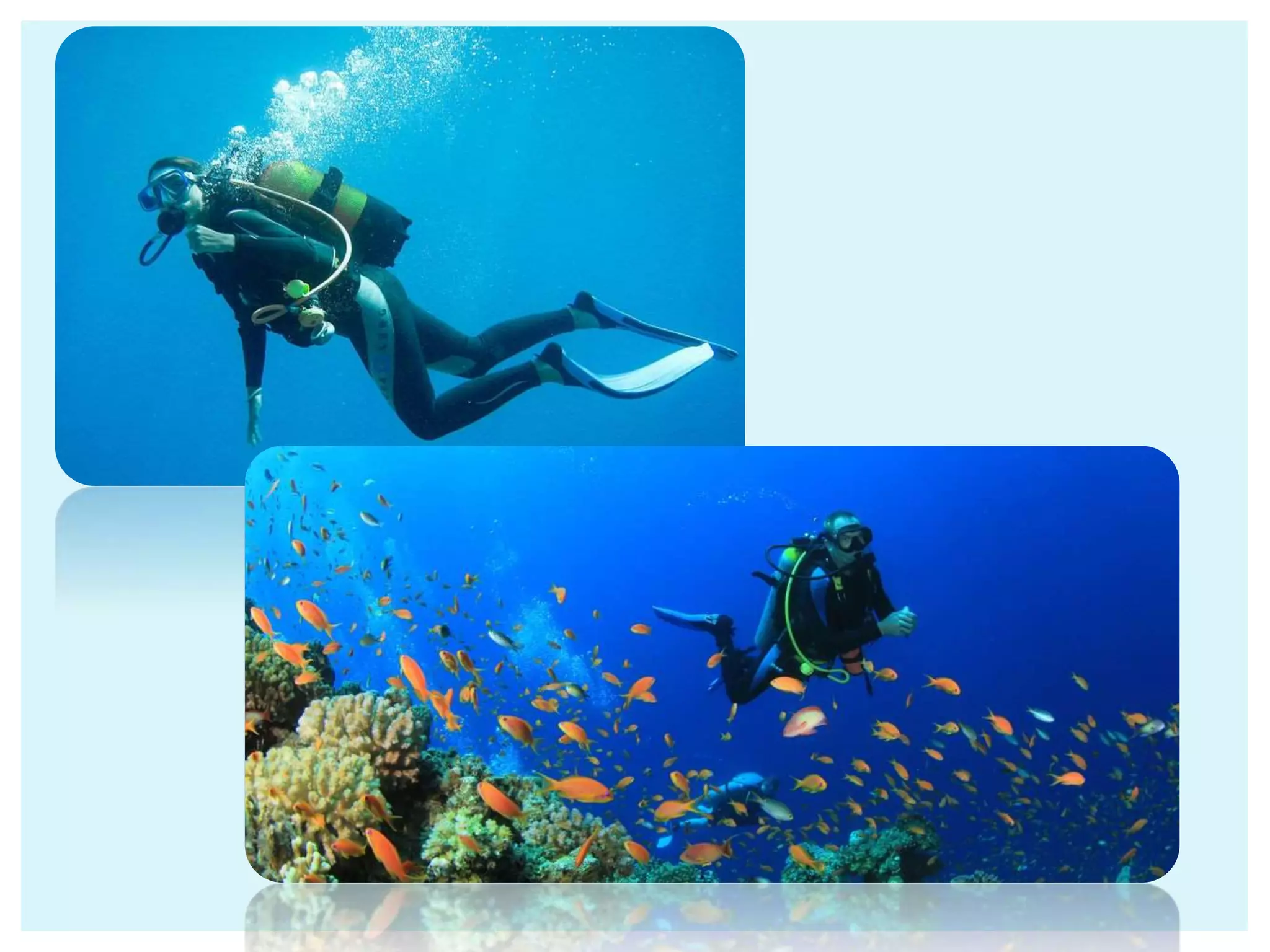 Aquatic activities | PPTX