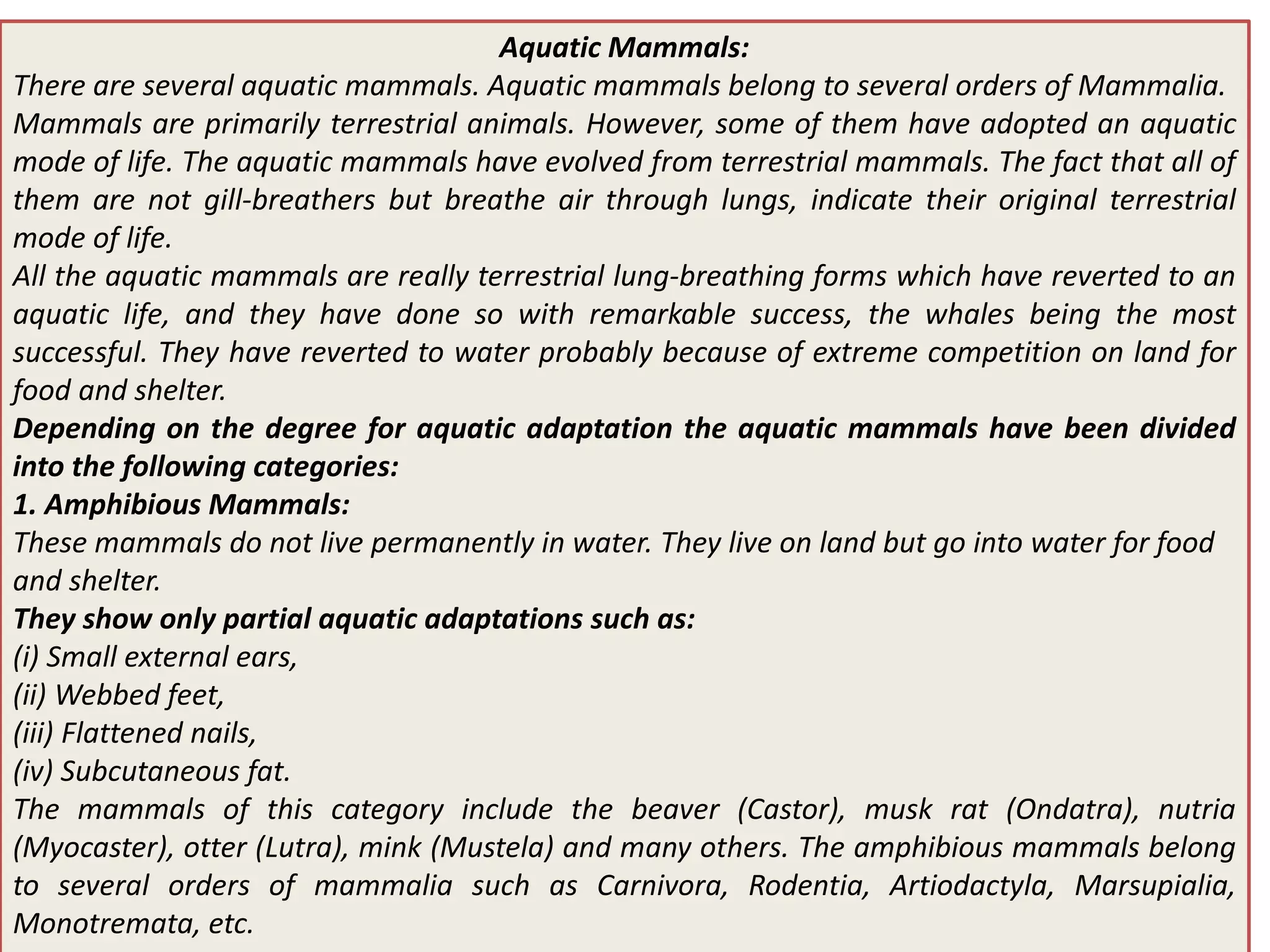 Aquatic adaptations | PPTX