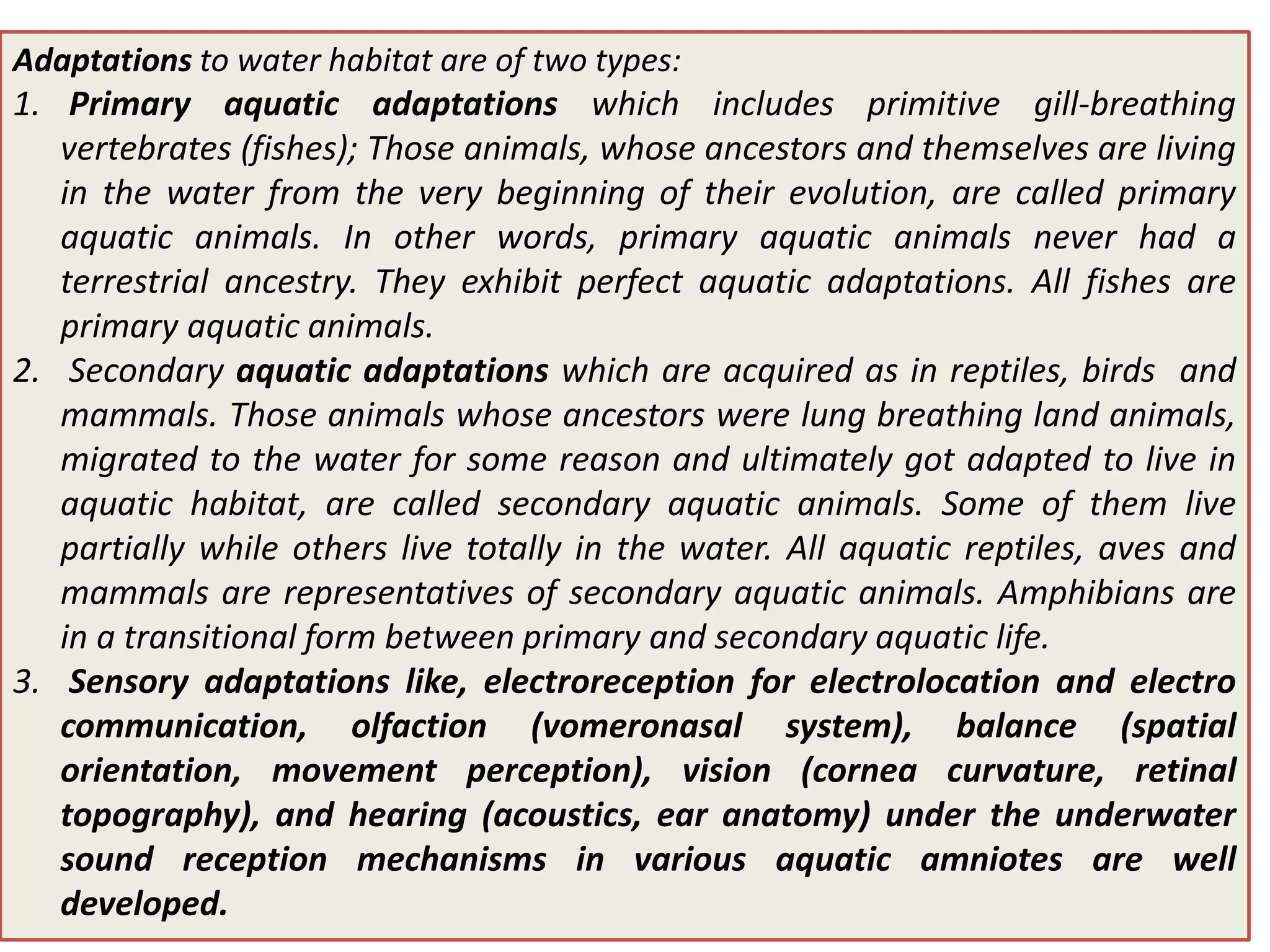 Aquatic adaptations | PPTX