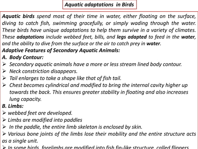 Aquatic adaptations | PPTX | Fish and Aquariums | Pets
