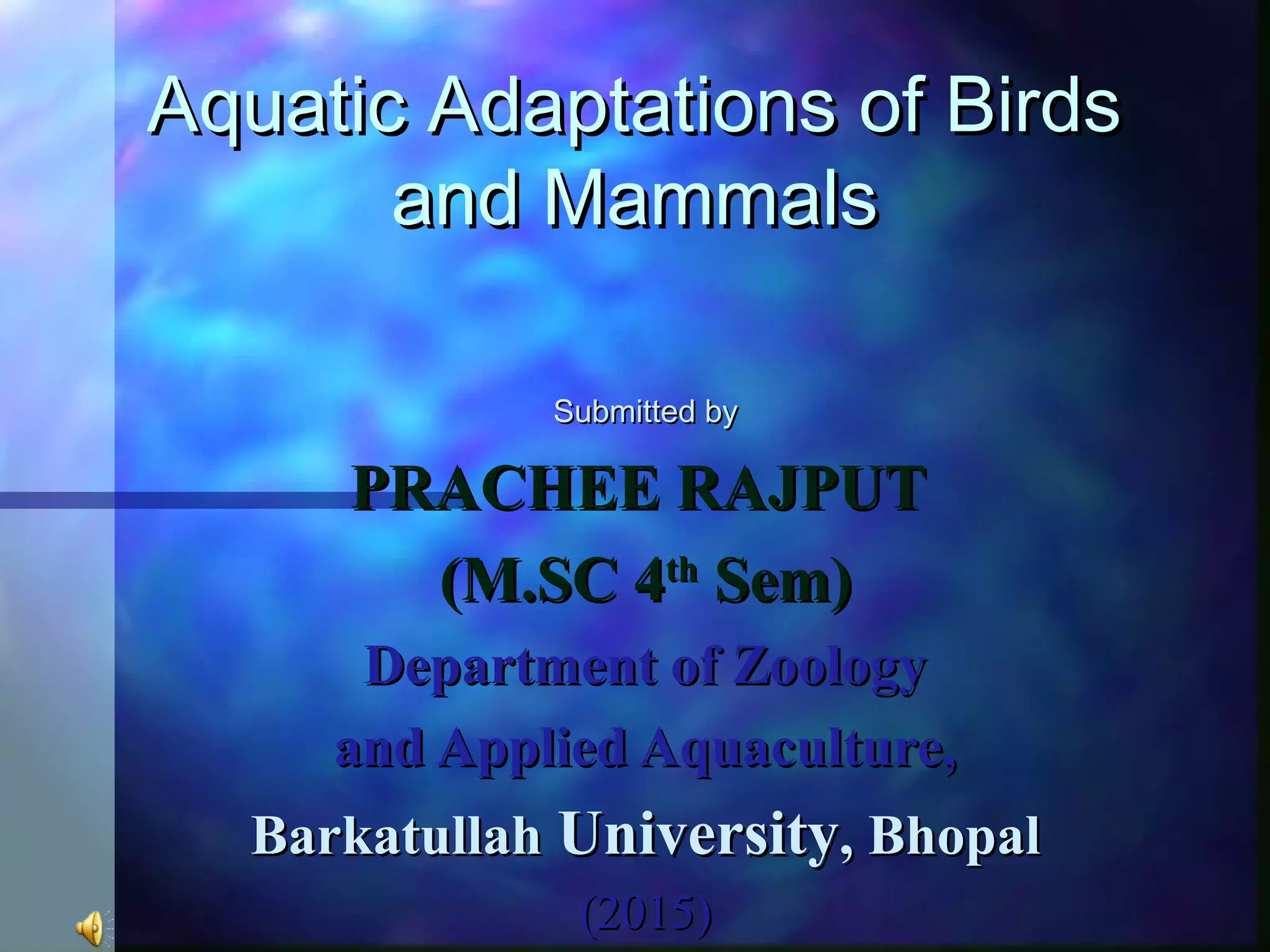 Aquatic adaptations in birds and mammals | PPT
