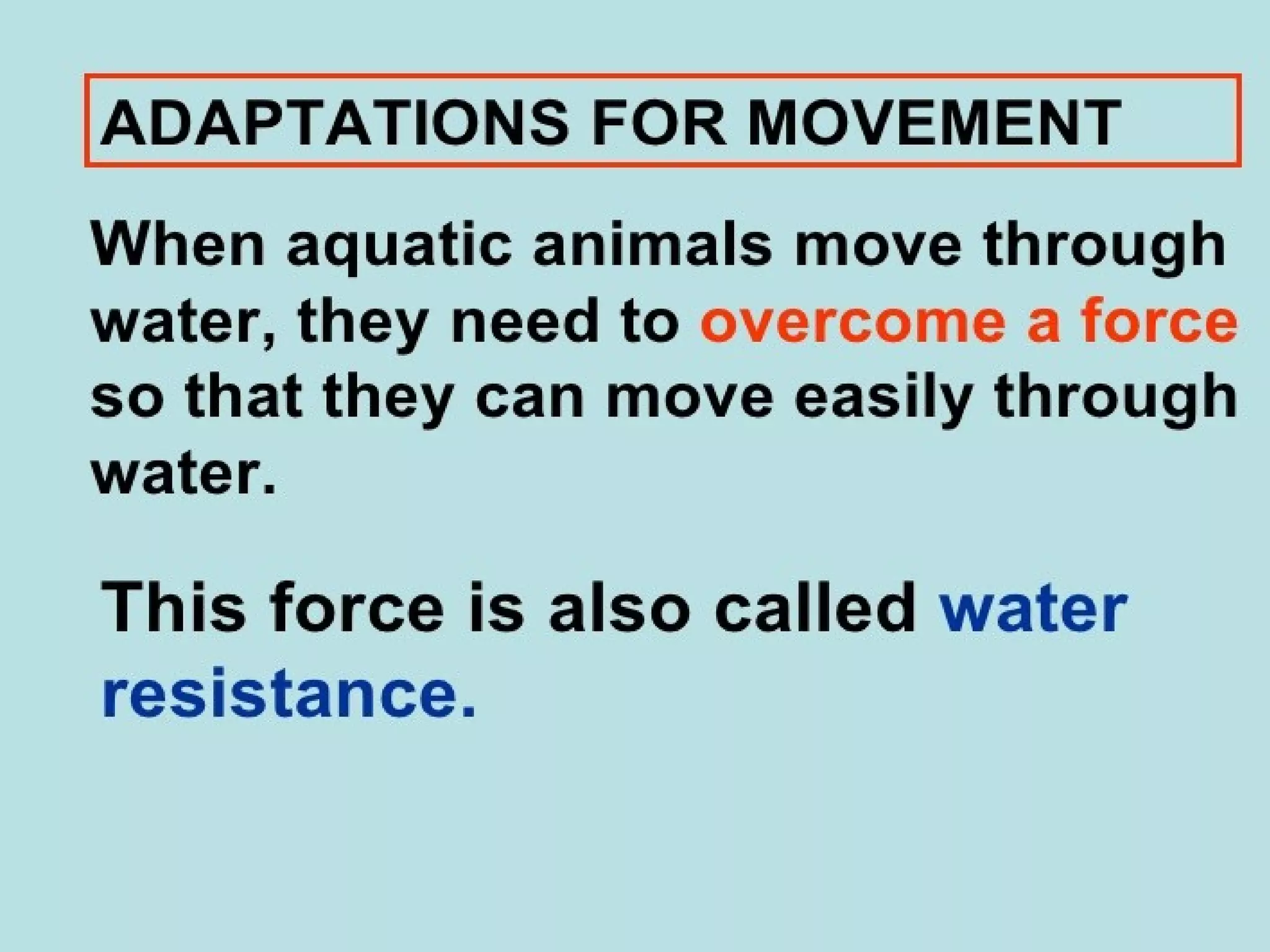 Aquatic adaptations in birds and mammals | PPT