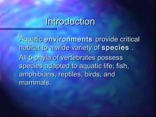 Aquatic adaptations in birds and mammals | PPT