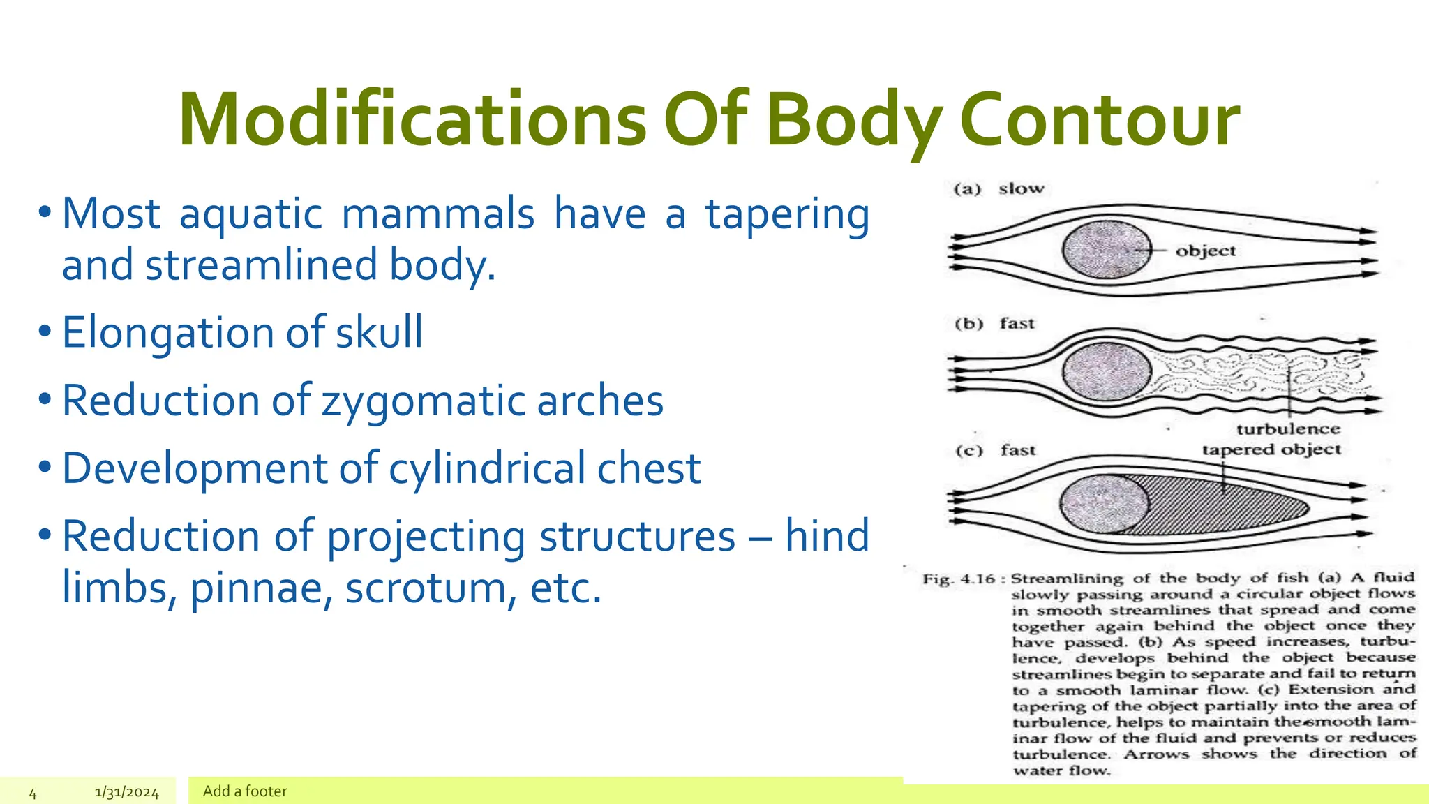 Aquatic adaptations in mammals by Brijesh Singh M.Sc. II year.pptx