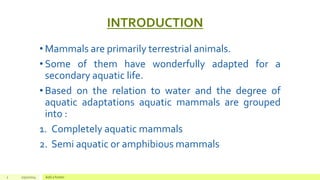 Aquatic adaptations in mammals by Brijesh Singh M.Sc. II year.pptx