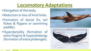 Aquatic adaptations in mammals by Brijesh Singh M.Sc. II year.pptx