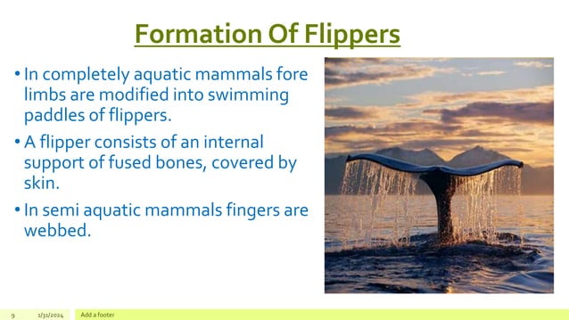 Aquatic adaptations in mammals by Brijesh Singh M.Sc. II year.pptx