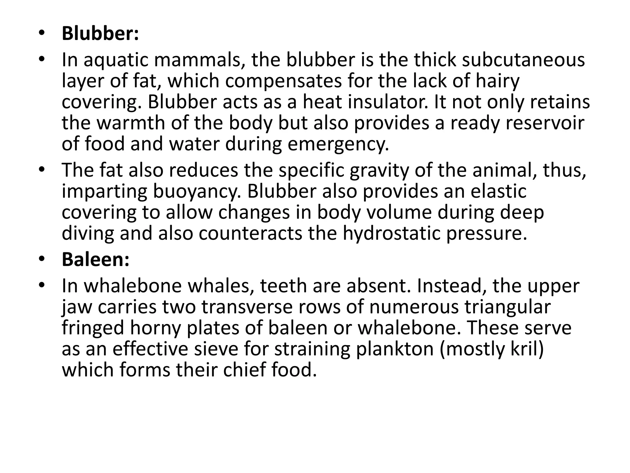 Aquatic adaptations of mammals | PPT