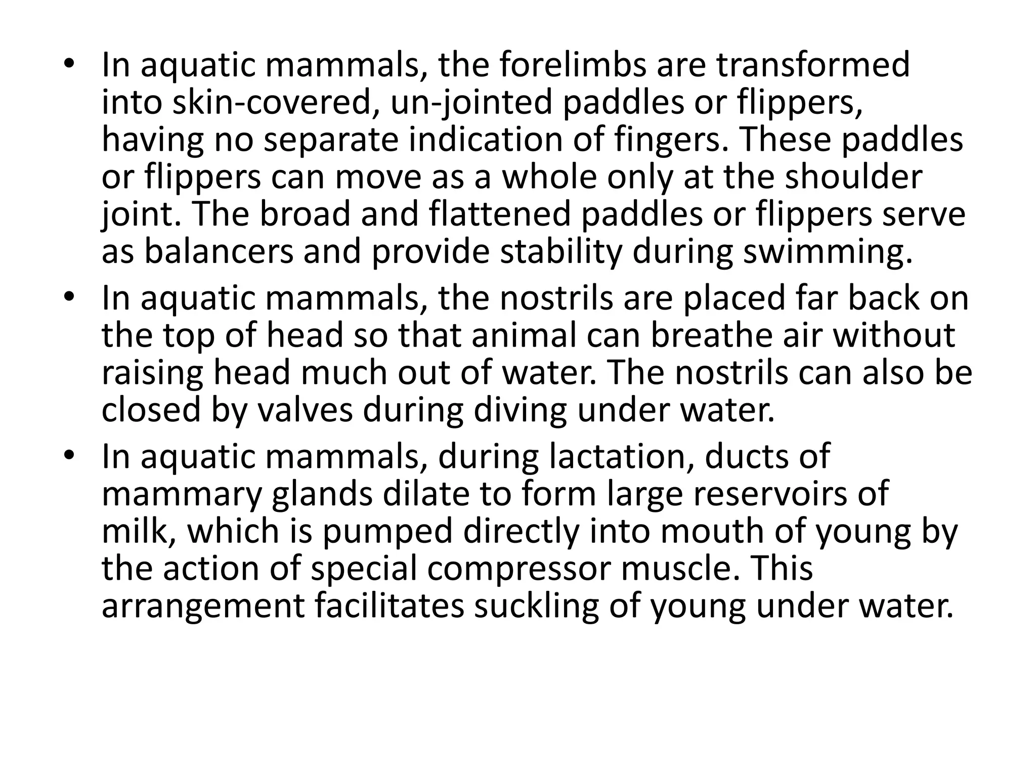 Aquatic adaptations of mammals | PPT