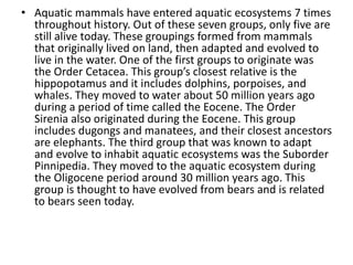 Aquatic adaptations of mammals | PPT