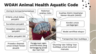 Aquatic Animal Health Code dan Perkembangan Terkini - Pusat Karantina ...