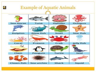 Aquatic animals power point presentation | PPTX
