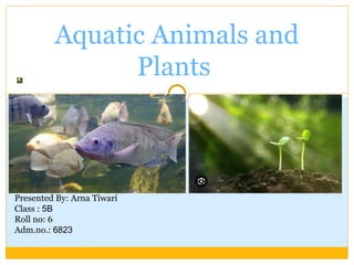 AquaticAnimals Plants power point presentaion ArnaTiwari_5B | PPTX