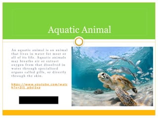 AquaticAnimals Plants power point presentaion ArnaTiwari_5B | PPTX