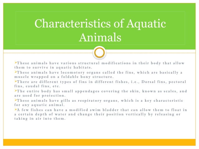 AquaticAnimals Plants power point presentaion ArnaTiwari_5B | PPTX