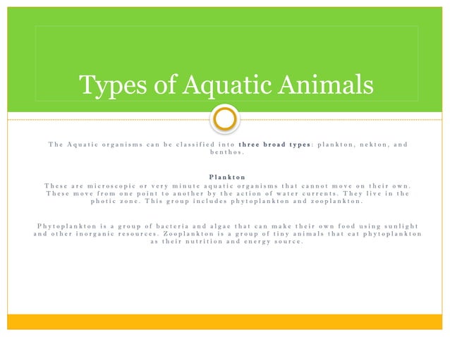 AquaticAnimals Plants power point presentaion ArnaTiwari_5B | PPTX