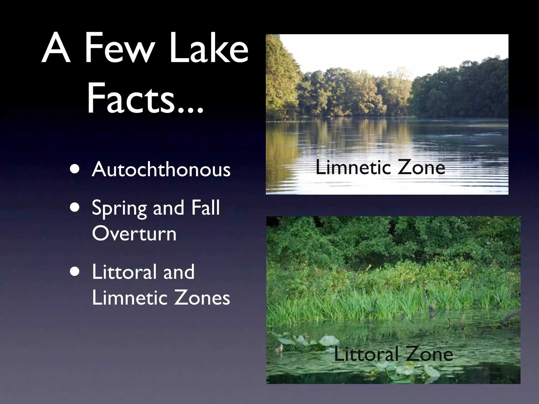 Aquatic Biodiversity | ZIP