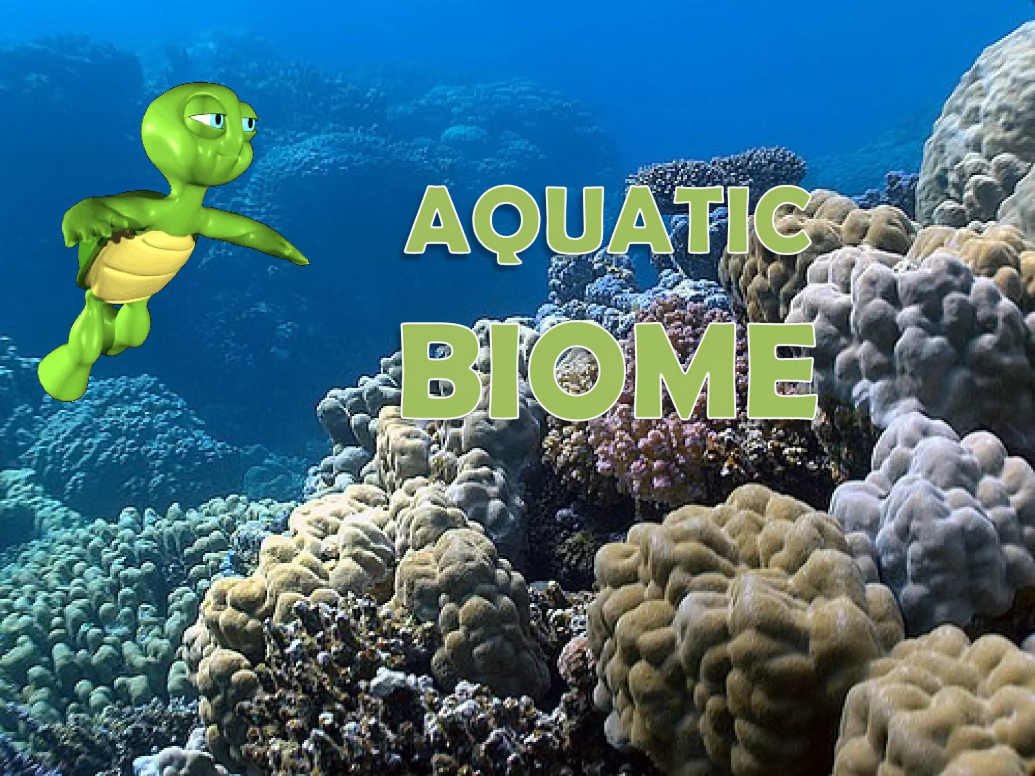 Aquatic biome | PPT