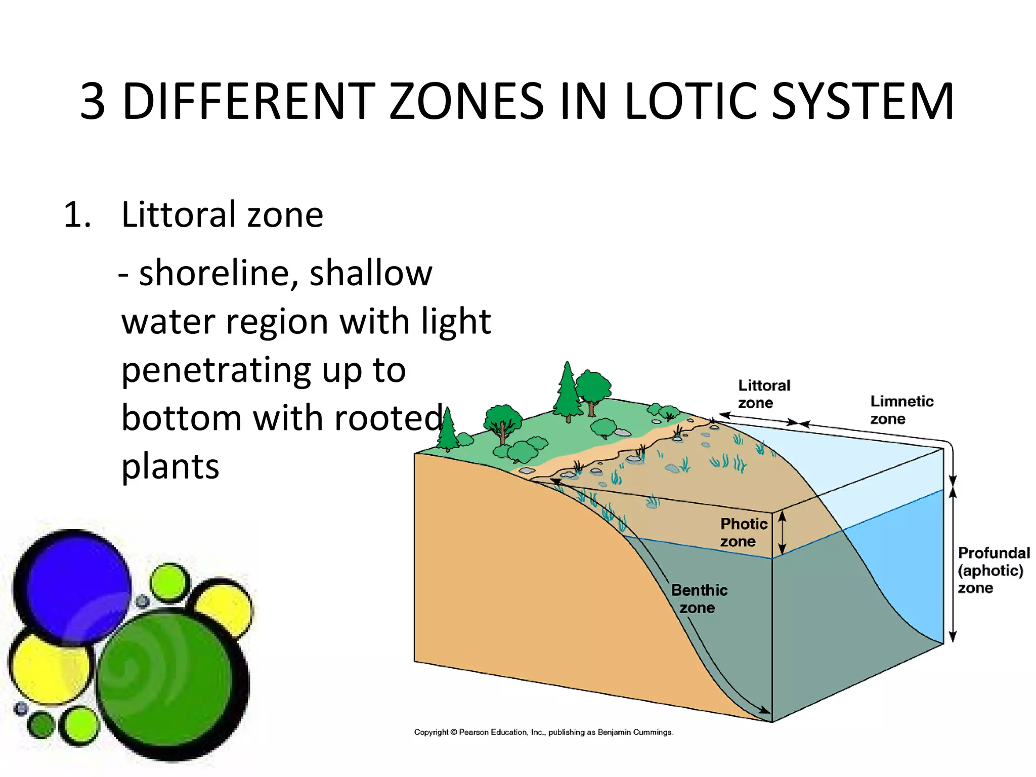 Aquatic biome | PPT