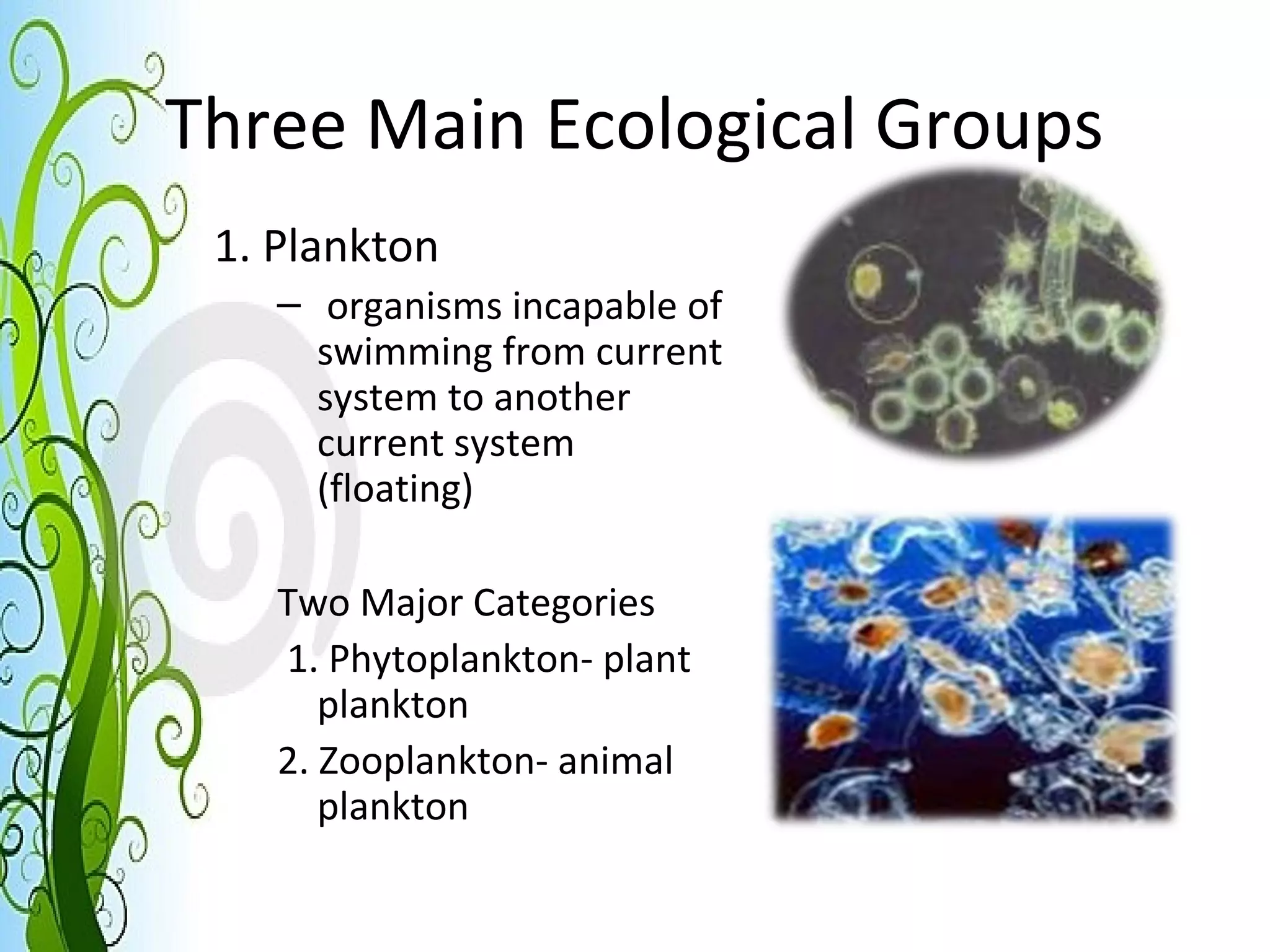 Aquatic biome | PPT