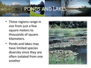 Aquatic biome | PPT