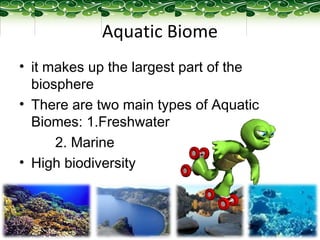 Aquatic biome | PPT