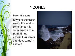 Aquatic biome | PPT