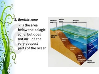 Aquatic biome | PPT
