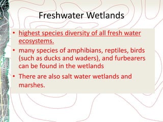 aquaticbiome.ppt | Geography | Science
