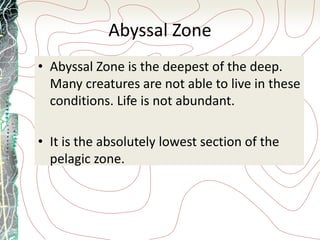 aquaticbiome.ppt | Geography | Science