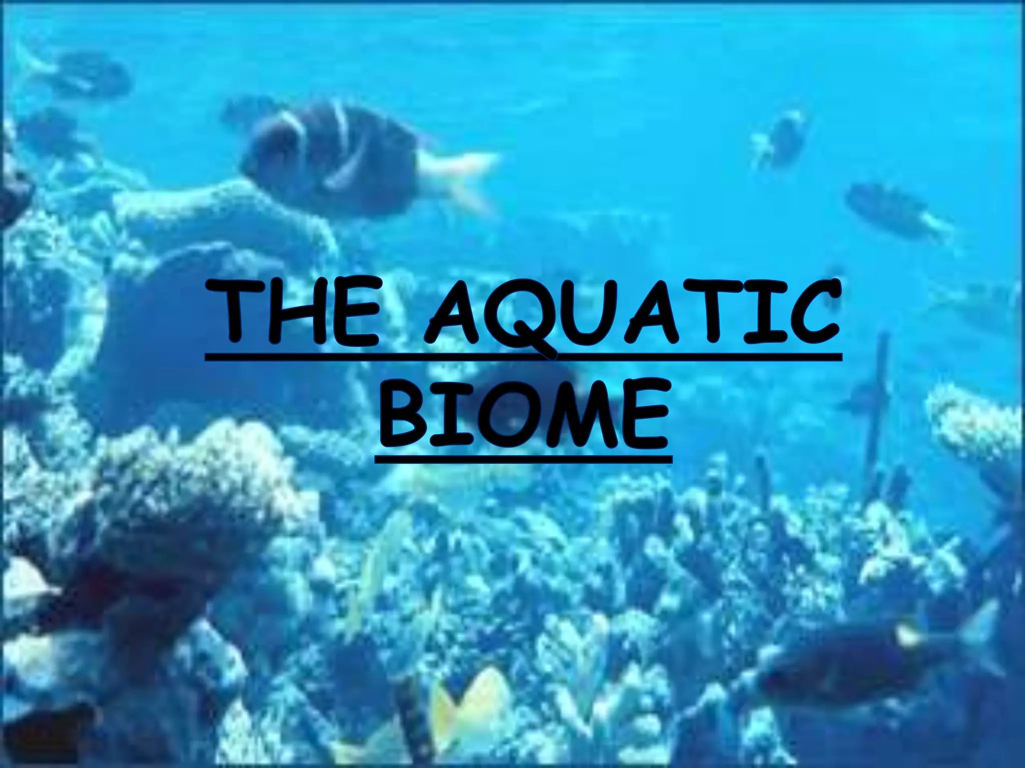 Aquatic biomes | PPTX