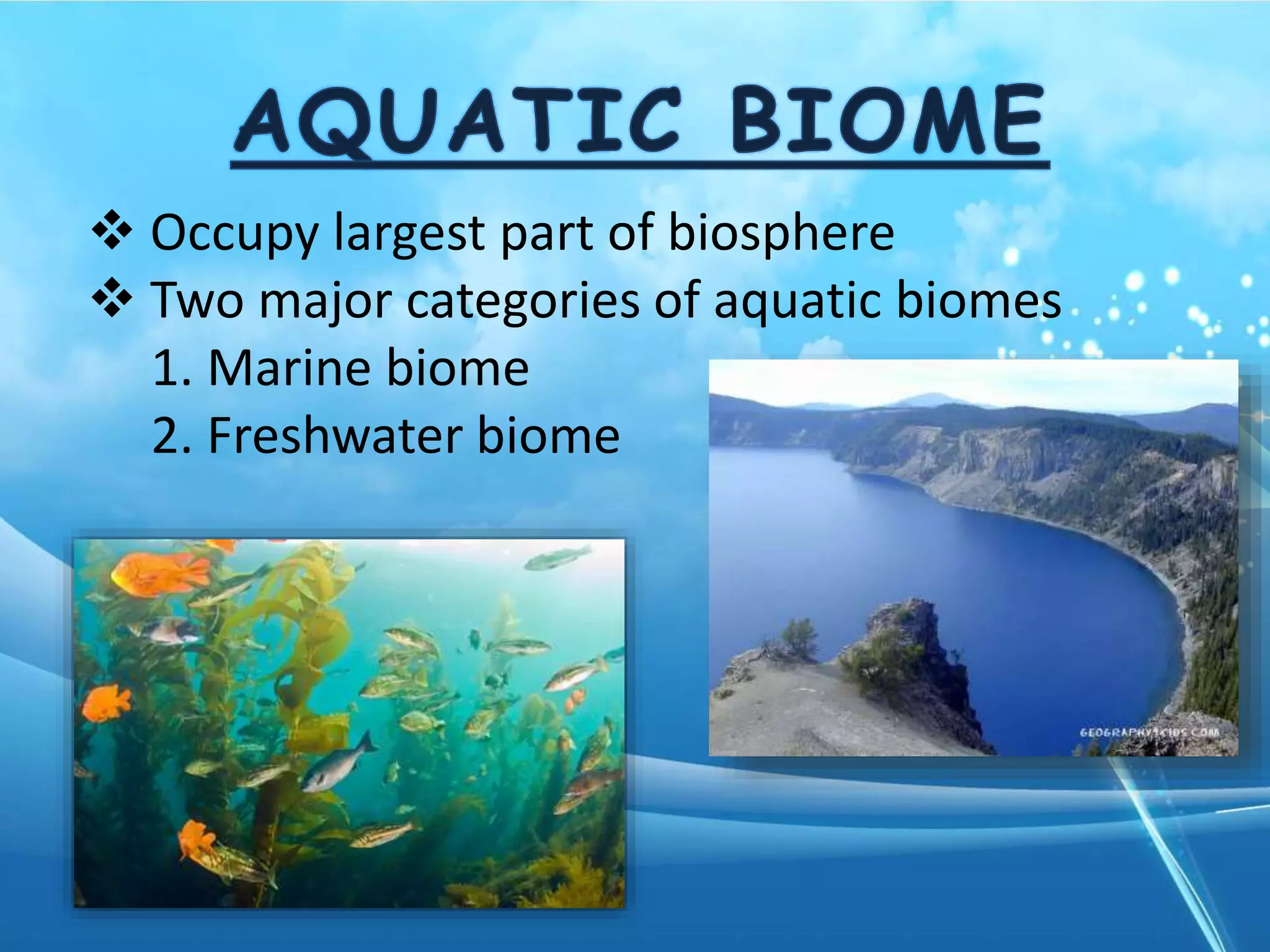 Aquatic biomes | PPTX