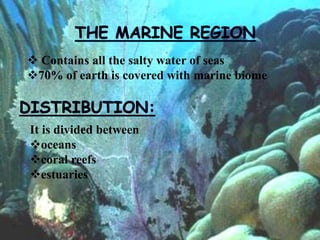 Aquatic biomes | PPTX