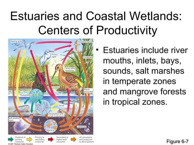 Aquatic Biomes and Environments by JNIJE.pptx