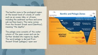 Environmental Science - Aquatic Biomes - Marine Systems | PDF