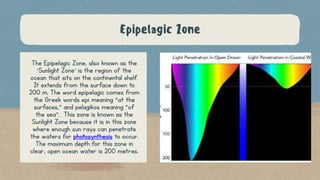 Environmental Science - Aquatic Biomes - Marine Systems | PDF