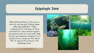 Environmental Science - Aquatic Biomes - Marine Systems | PDF