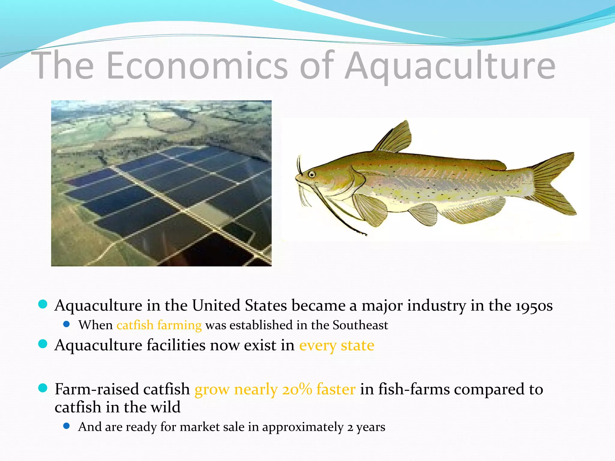 Aquatic biotechnology | PPT