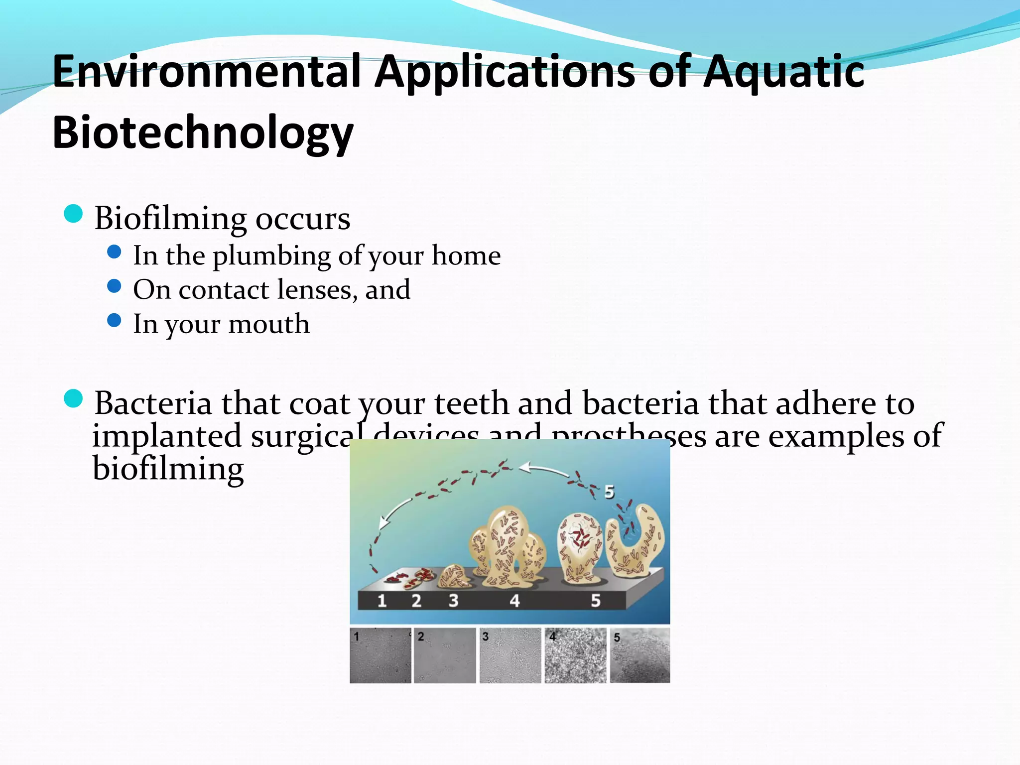 Aquatic biotechnology | PPT