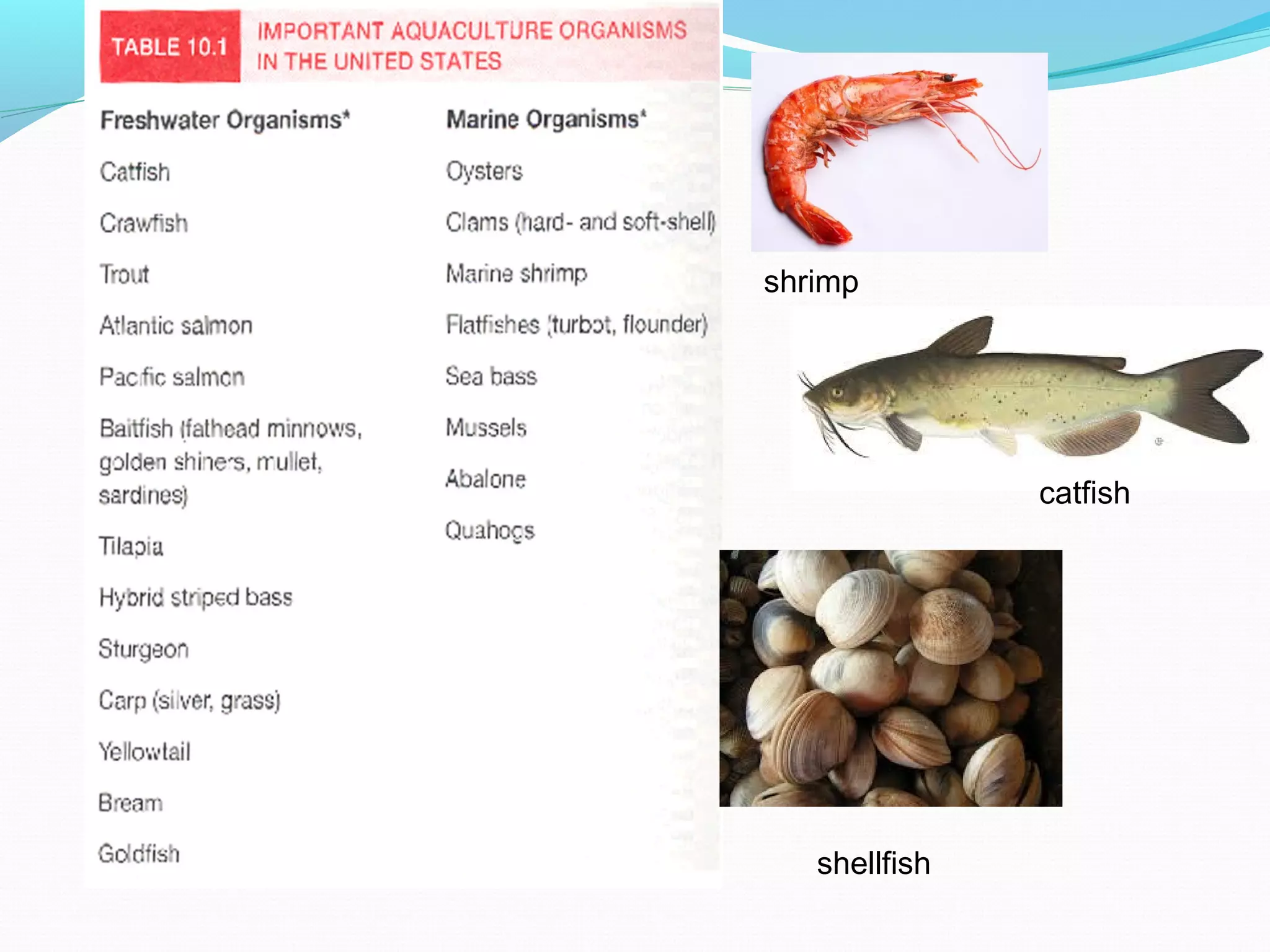 Aquatic biotechnology | PPT