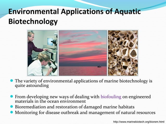 Aquatic biotechnology | PPT | Agriculture | Industries