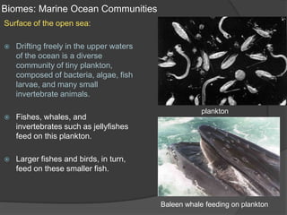Aquatic communities | PPT