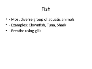 Aquatic_Creatures54322_Presentation.pptx