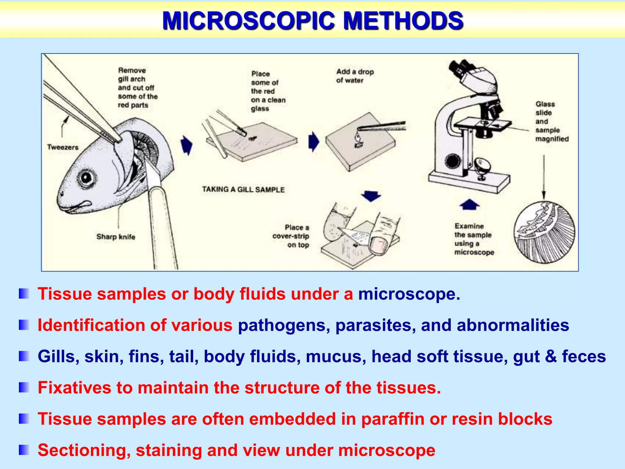 Aquatic Disease Diagnosis.ppt