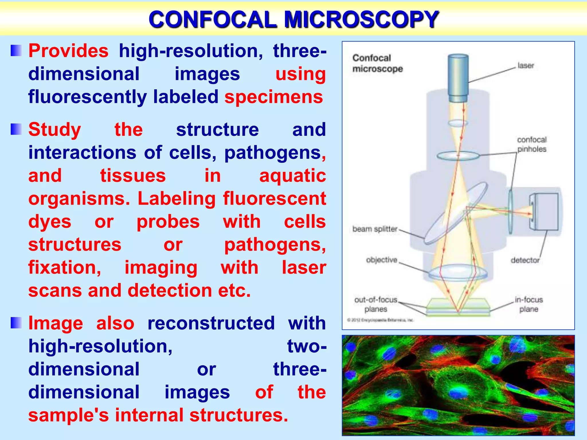 Aquatic Disease Diagnosis.ppt
