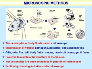 Aquatic Disease Diagnosis.ppt