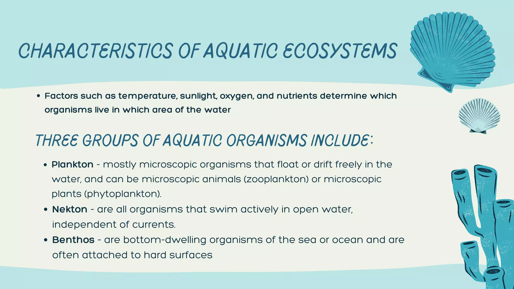 Aquatice-Ecosystem-PPT.pdf | Science