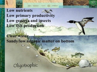 Aquatic ecology 101 | PPT