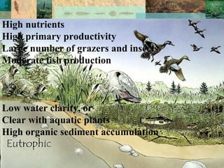 Aquatic ecology 101 | PPT